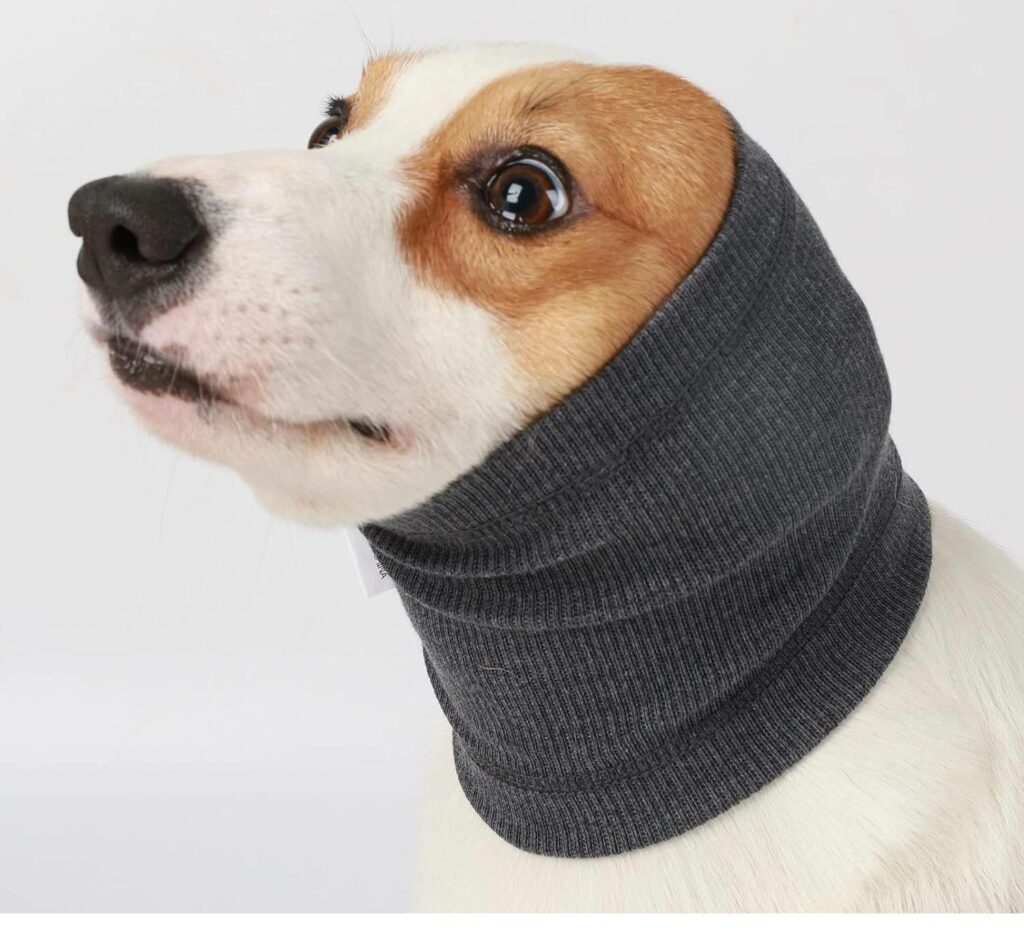 8 Best Dog Ear Muffs to Protect Your Pet: 2026 Reviews & Top Picks ...