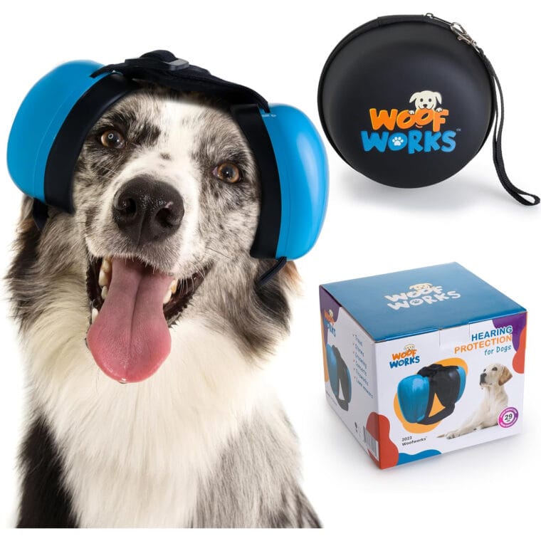8 Best Dog Ear Muffs to Protect Your Pet: 2026 Reviews & Top Picks ...