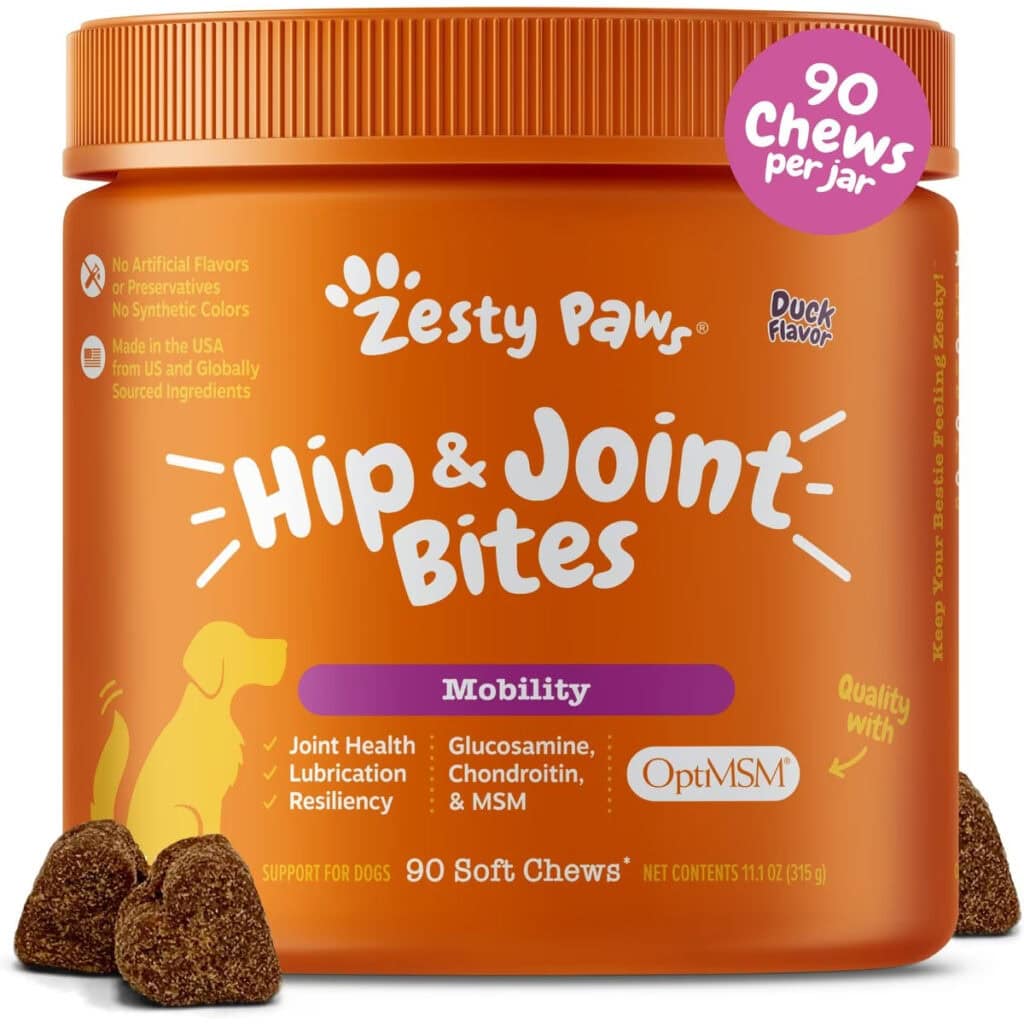 10 Best Joint Supplements for Labradors - 2025 Reviews & Top Picks ...