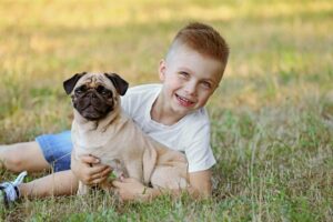 10 Pug Pros And Cons: What To Know Before You Get One | Hepper Pet ...