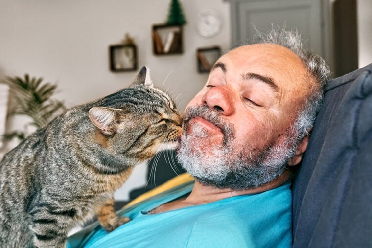 Why Do Cats Like Beards? 5 Likely Reasons | Hepper Pet Resources