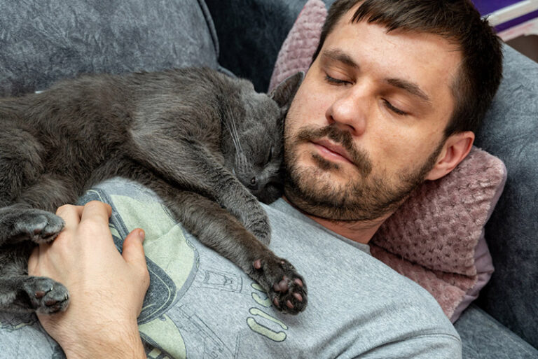 Do Cats Like Humans Or Do They Just Tolerate Us? 7 Signs of Affection ...
