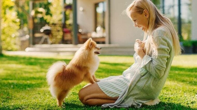 Do Dogs Smile? Behavior Facts & FAQ | Hepper Pet Resources