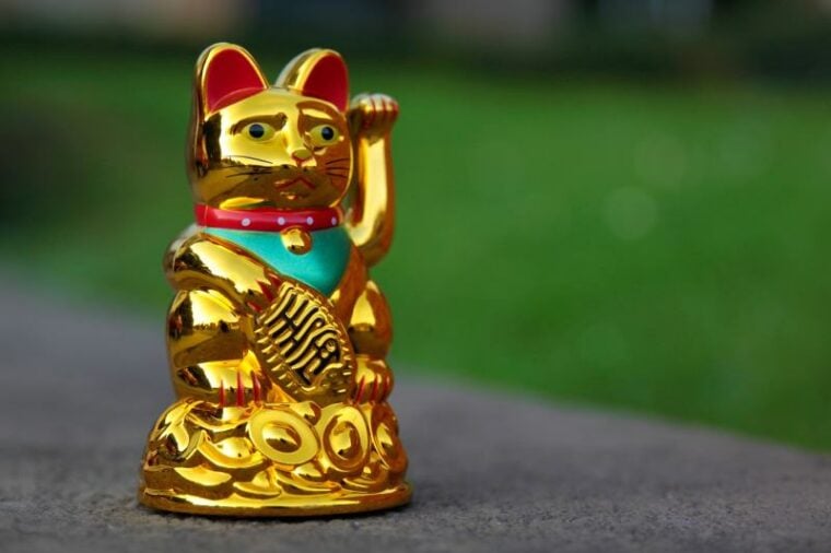 Japanese Waving Lucky Cat: The History Behind Maneki-Neko | Hepper Pet ...