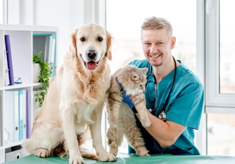 National Specially-Abled Pets Day 2026: When It Is & What to Do ...