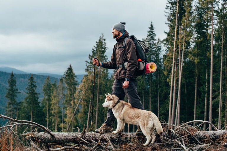10 Best Dog Tents for Camping in 2026 - Reviews & Top Picks | Hepper ...