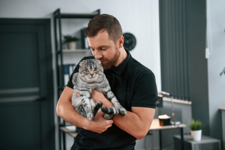 How Does a Cat Like to Be Held? Vet-Approved Tips | Hepper Pet Resources
