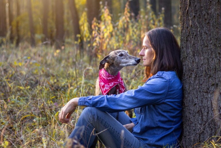 National Greyhound Day 2026: When It Is & Its Purpose | Hepper Pet ...