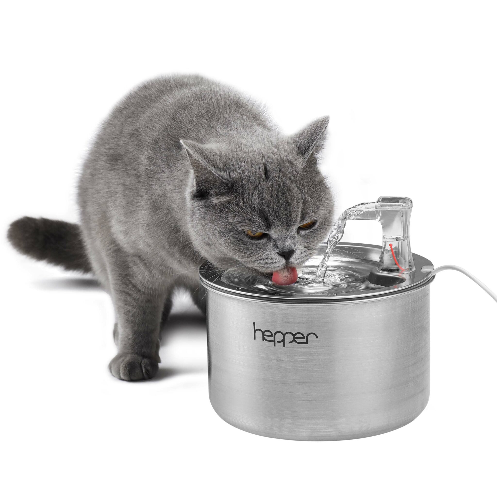 11 DIY Cat Water Fountain Plans You Can Make Today (With Pictures ...