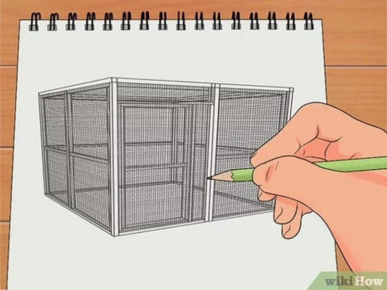 5 DIY Bird Room Ideas to Improve Your Pet’s Home (With Pictures ...