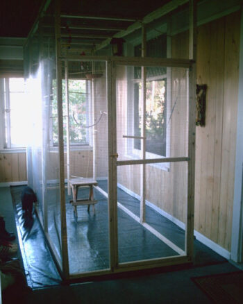 5 DIY Bird Room Ideas to Improve Your Pet’s Home (With Pictures ...