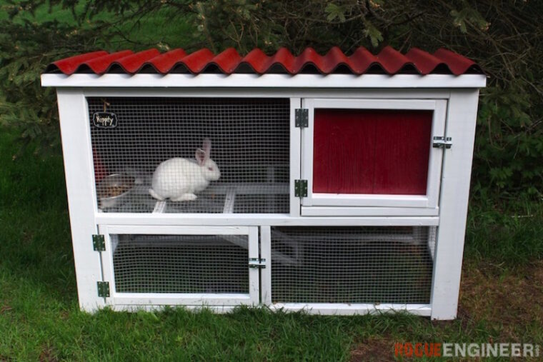 7 Beautiful DIY Rabbit Hutches You Can Make Today (With Pictures ...