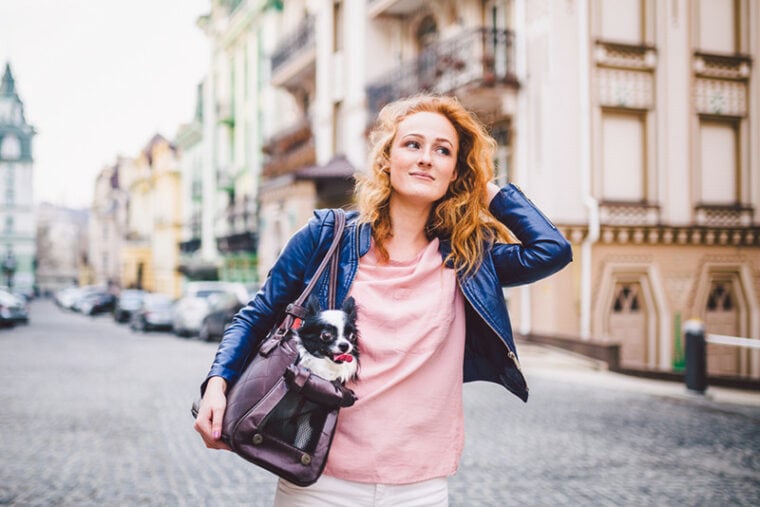 19 Pet Ownership Statistics in 2025: US Facts & Figures | Hepper Pet ...