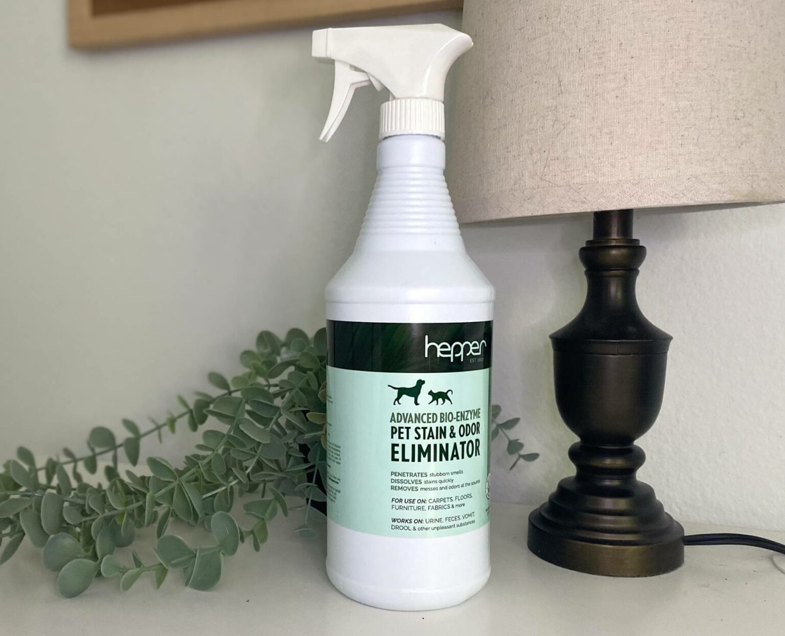 17 Rabbit Essentials You Need: 2025 Vet-Reviewed Guide | Hepper Pet ...