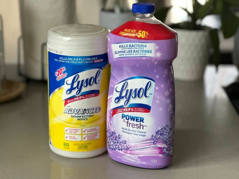 Is Lysol Toxic to Dogs? Vet-Approved Facts & FAQs | Hepper Pet Resources