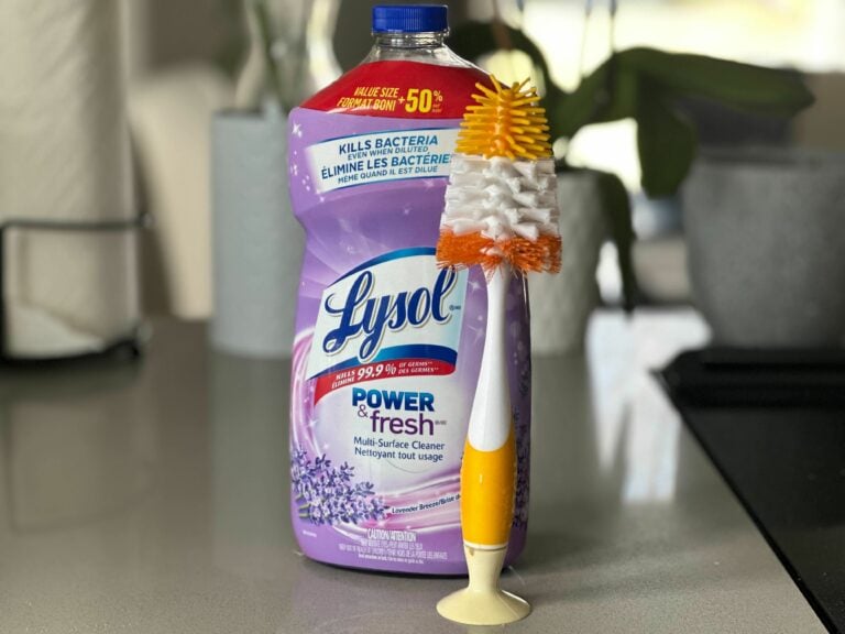 Is Lysol Toxic to Dogs? Vet-Approved Facts & FAQs | Hepper Pet Resources