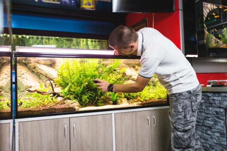8 DIY Turtle Tanks You Can Build Today (With Pictures) | Hepper Pet ...