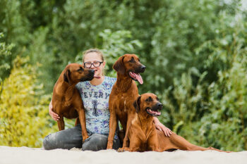 7 Rhodesian Ridgeback Pros & Cons: What to Know Before You Get One ...
