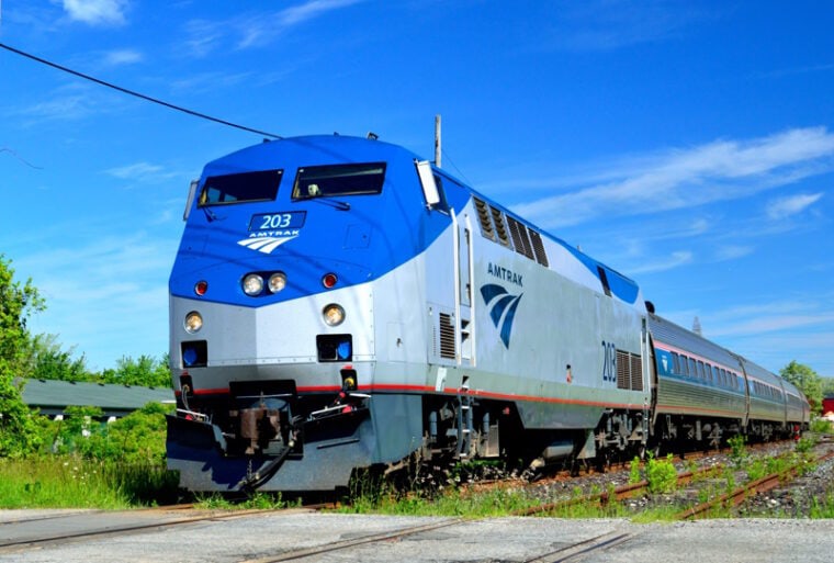 Does Amtrak Allow Dogs? 2026 Update & Travel Tips | Hepper Pet Resources