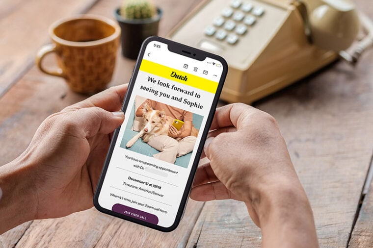 Dutch Online Veterinary Service Review 2026: Our Expert’s Opinion ...