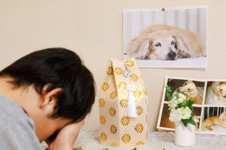 How Long Do Dogs Grieve the Loss of Their Owner? What Science Says ...