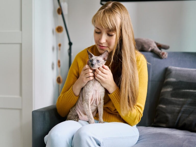 26 Tips for Apartment Living With Cats (2026 Guide) | Hepper Pet Resources
