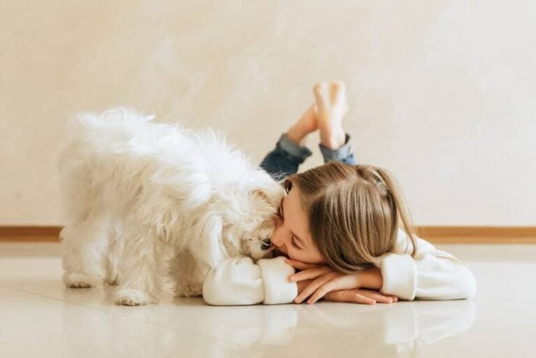 Why Does My Dog Eat My Hair? 7 Vet-Verified Reasons | Hepper Pet Resources