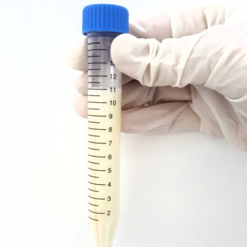 Rabbit Urine Color Guide: Vet-Verified Causes & Recommendations ...