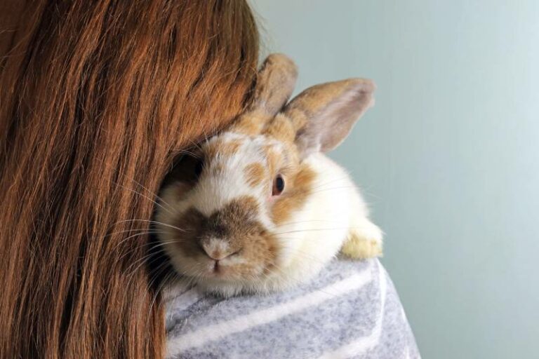 How To Hold a Rabbit: 10 Vet-Approved Steps | Hepper Pet Resources