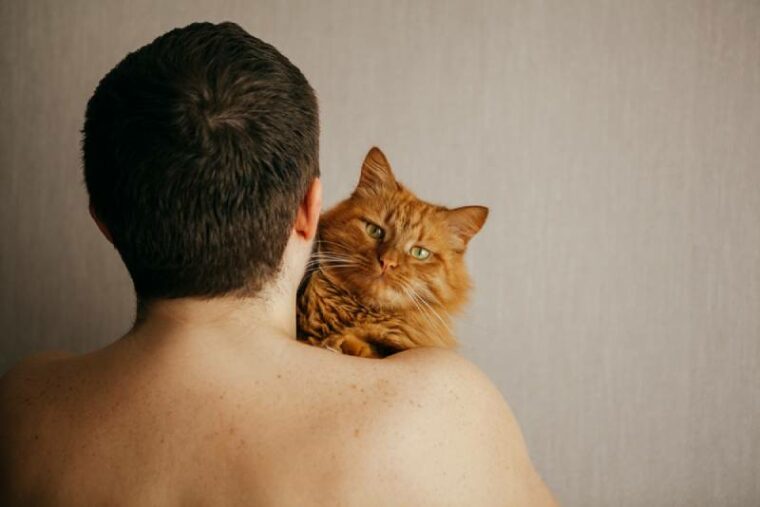 Why Is Your Cat Sniffing Your Face: 6 Vet-Reviewed Reasons | Hepper Pet ...
