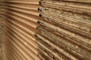 My Dog Ate Cardboard: Here's What to Do | Hepper Pet Resources