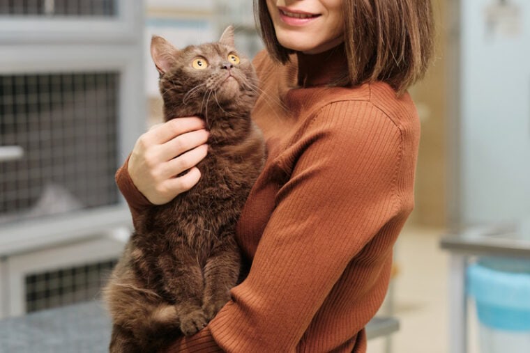 How to Pick Up a Cat: Vet Approved Step-by-Step Guide, Handling Tips ...