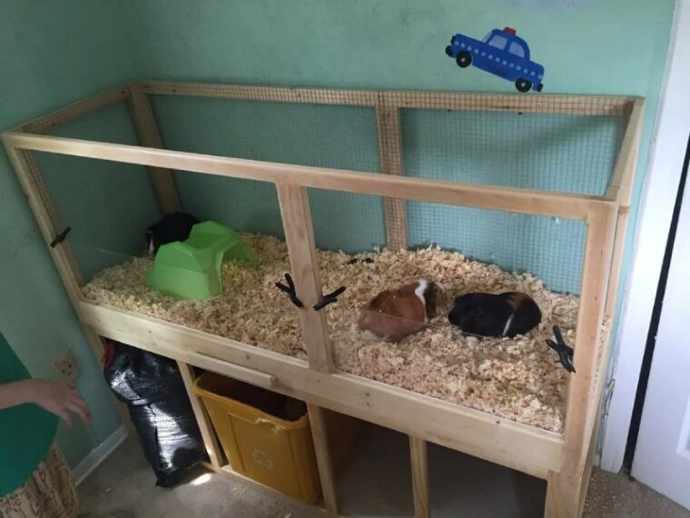 15 DIY Guinea Pig Cage Plans You Can Build Today (With Pictures ...