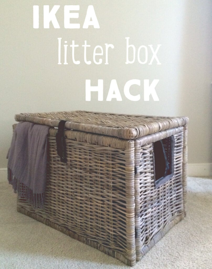 16 DIY Litter Box Enclosures You Can Build Today (with Pictures ...