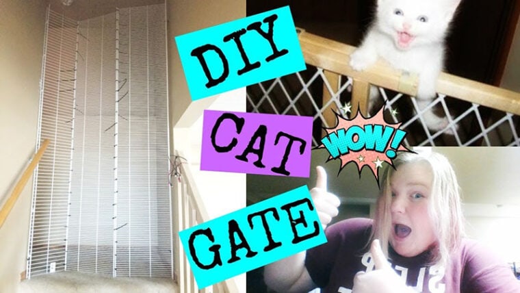 10 DIY Cat Gate & Barrier Plans You Can Make Today (With Pictures ...