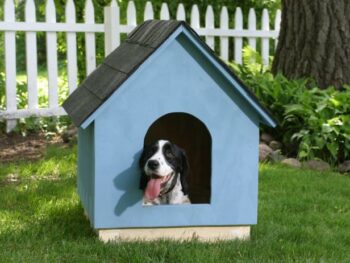 10 DIY Dog Shade Ideas to Keep Them Cool Outside (With Pictures ...
