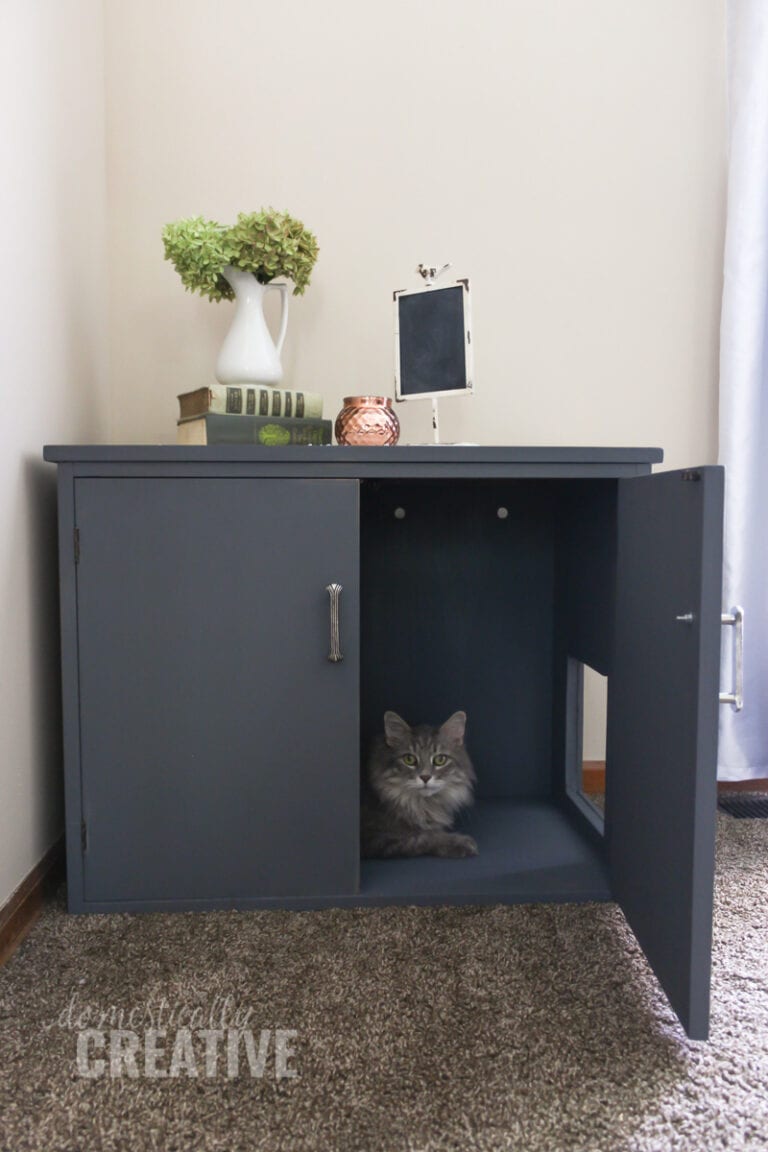 16 DIY Litter Box Enclosures You Can Build Today (with Pictures ...