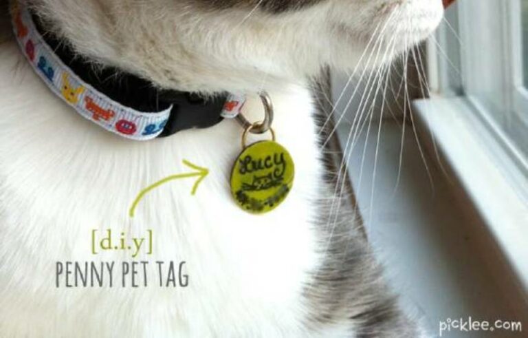10 DIY Dog Tags You Can Make at Home Today (With Pictures) | Hepper Pet ...