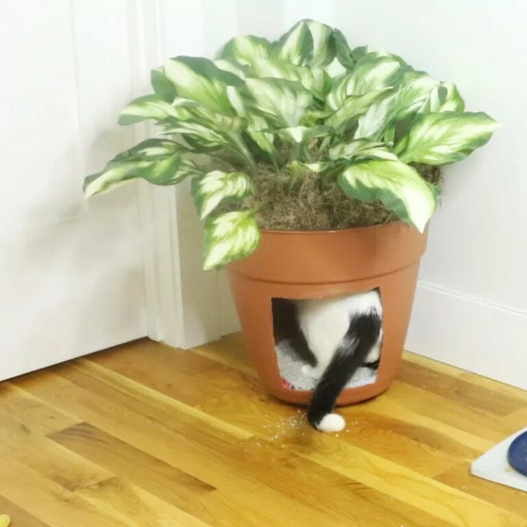 16 DIY Litter Box Enclosures You Can Build Today (with Pictures ...