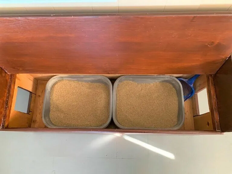 16 DIY Litter Box Enclosures You Can Build Today (with Pictures ...