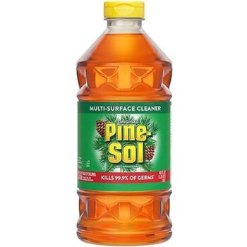 Does Pine-Sol Kill Fleas? Vet-Approved Facts & Safety | Hepper Pet Resources