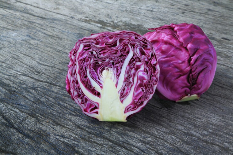 Can Cats Eat Cabbage? Vet Reviewed Facts & Nutrition Guide | Hepper Pet ...