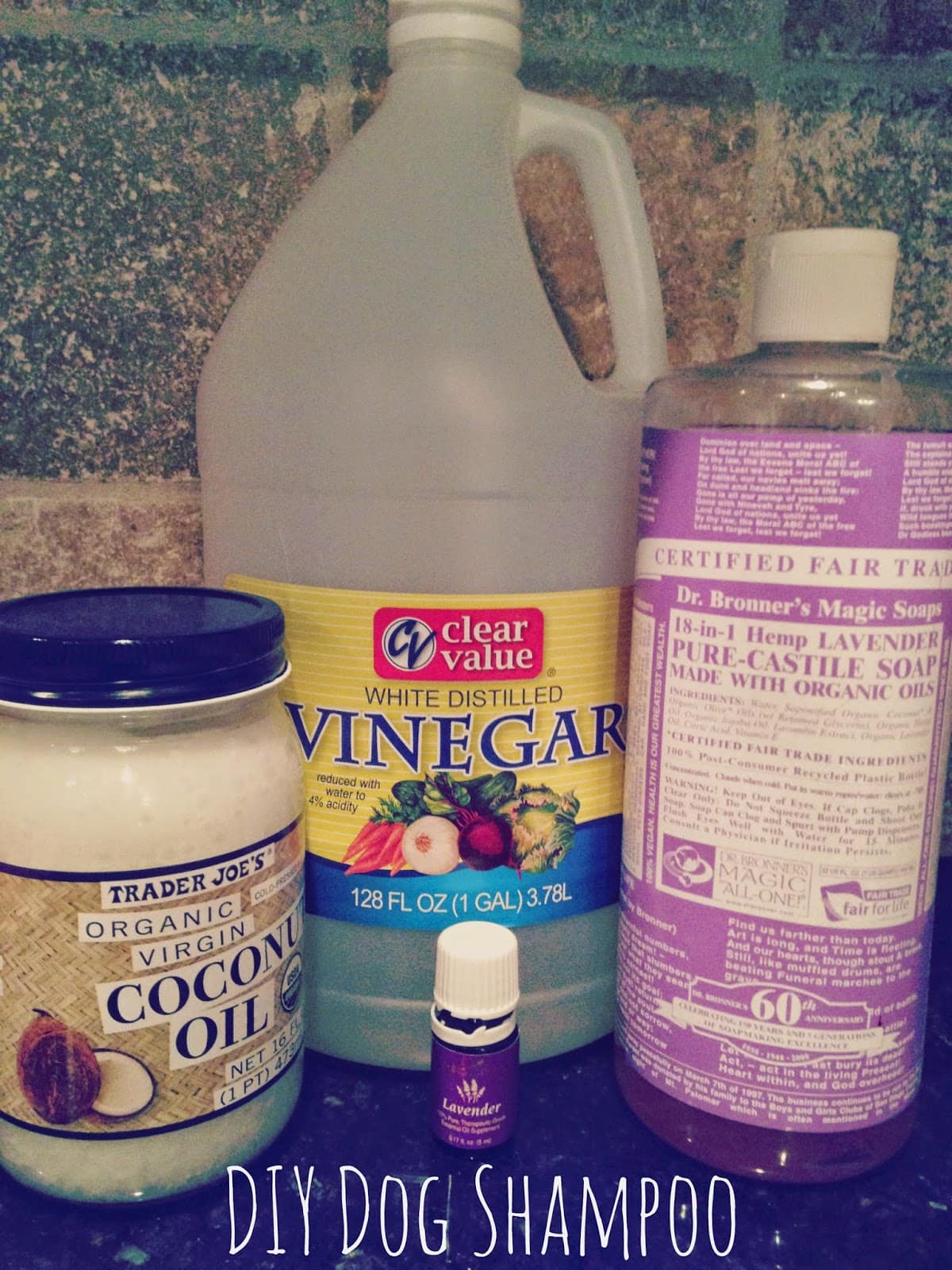 9 DIY Vet-Approved Dog Shampoos with Coconut Oil You Can Make at Home ...