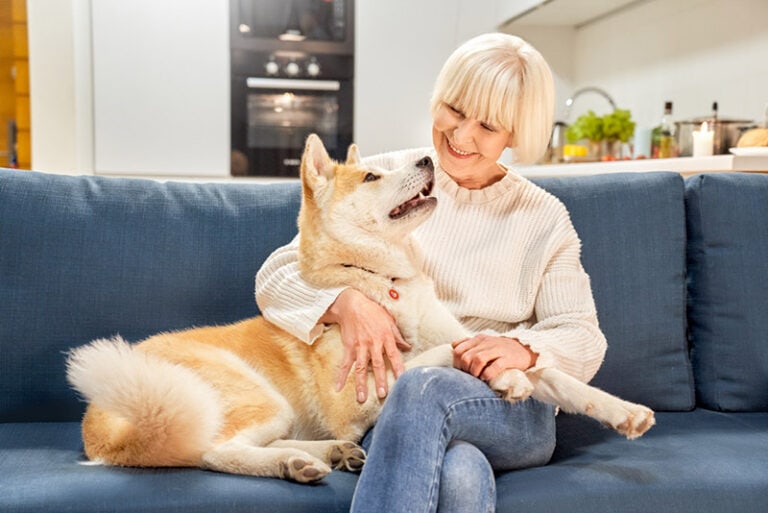 How to Make Your Dog Smell Good Naturally: 7 Vet Approved Ways | Hepper ...