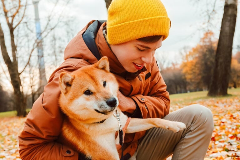 10 Common Akita Health Issues (Vet Answer) | Hepper Pet Resources