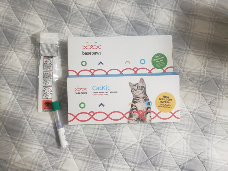 Basepaws Cat Breed + Health DNA Test Review 2026: Our Expert’s Opinion ...
