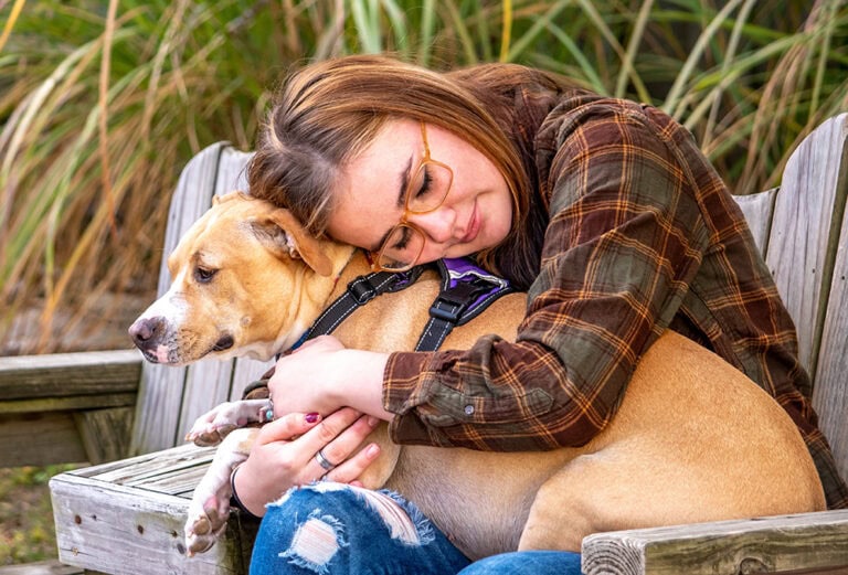 Seizure-Detection Dogs: Training & Effectiveness Explained | Hepper Pet ...
