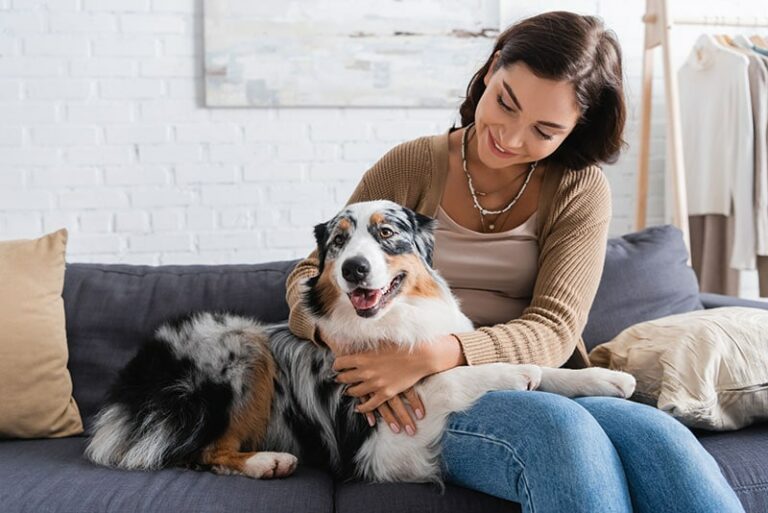 How to Be a Good Dog Owner: 18 Vet-Approved Tips & Tricks | Hepper Pet ...