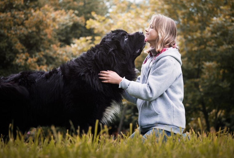 20 Most Affectionate Dog Breeds That Love to Cuddle (With Info ...