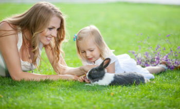 Where Do Rabbits Like to Be Pet: 5 Vet-Approved Spots (With Infographic ...